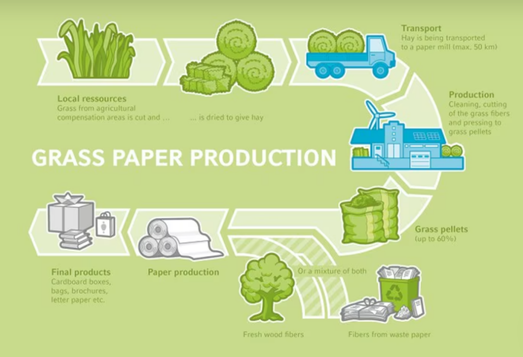 What is Grass Paper and How is it Made? Ep.1 – DAIWA SHIRYO TRADING